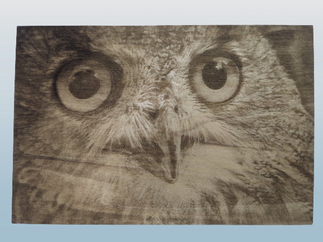 Owl Laser Engraved Wall Art, Gifts for Him, Gifts for Her, Birthday ...