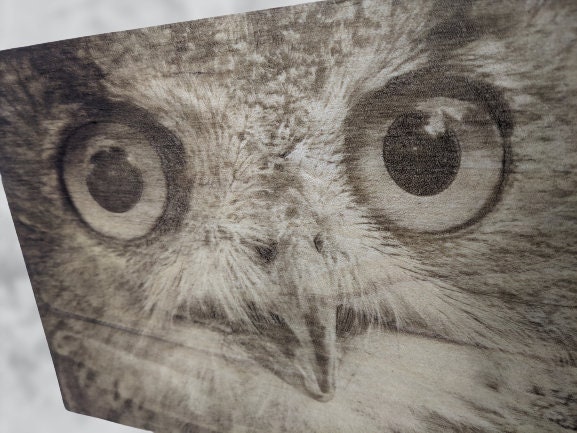 Owl Laser Engraved Wall Art, Gifts for Him, Gifts for Her, Birthday ...