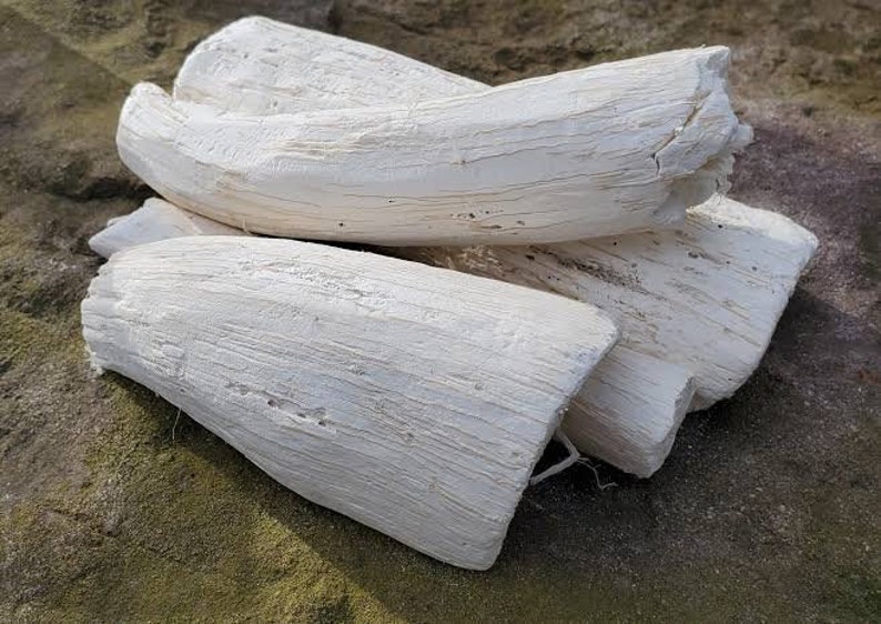 African Lucid Dream Root | Synaptolepis Kirkii | Vuma Omhlophe - Etsy