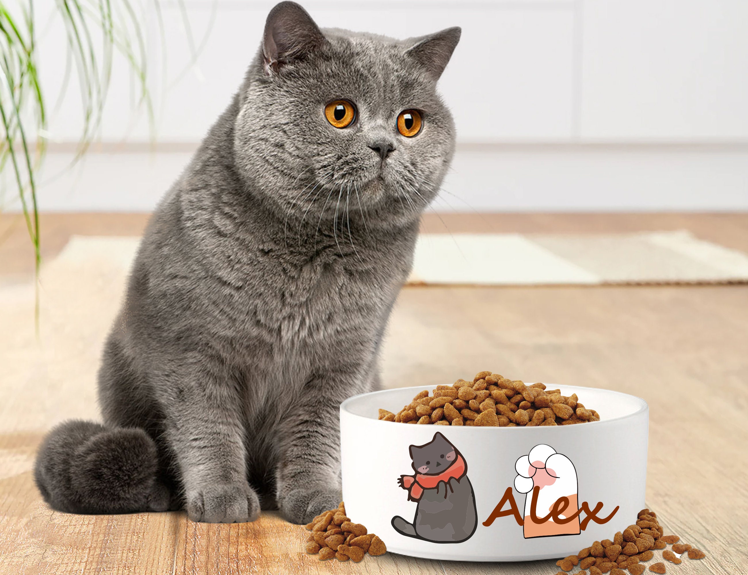 Custom Cat Bowl, Funny Cat Dish for Water and Food, Cute Cat Bowl With ...
