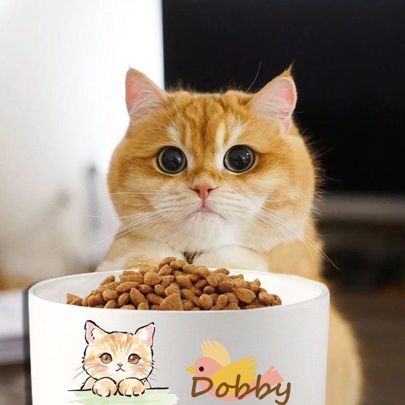 Custom Cat Bowl, Funny Cat Dish for Water and Food, Cute Cat Bowl With ...