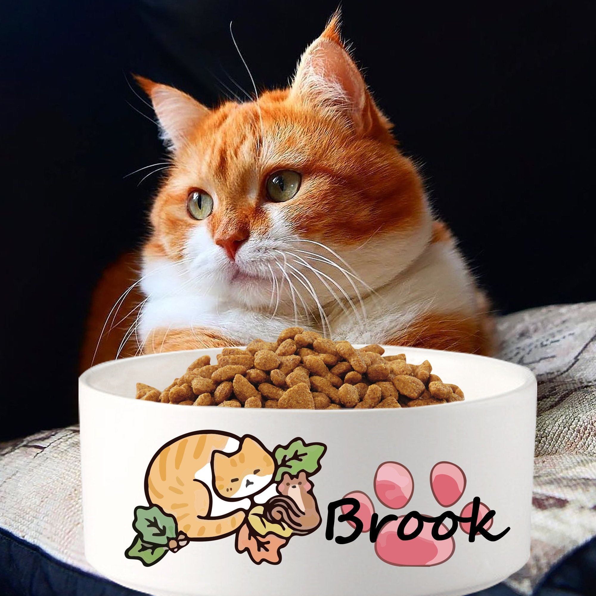 Custom Cat Bowl, Funny Cat Dish for Water and Food, Cute Cat Bowl With ...