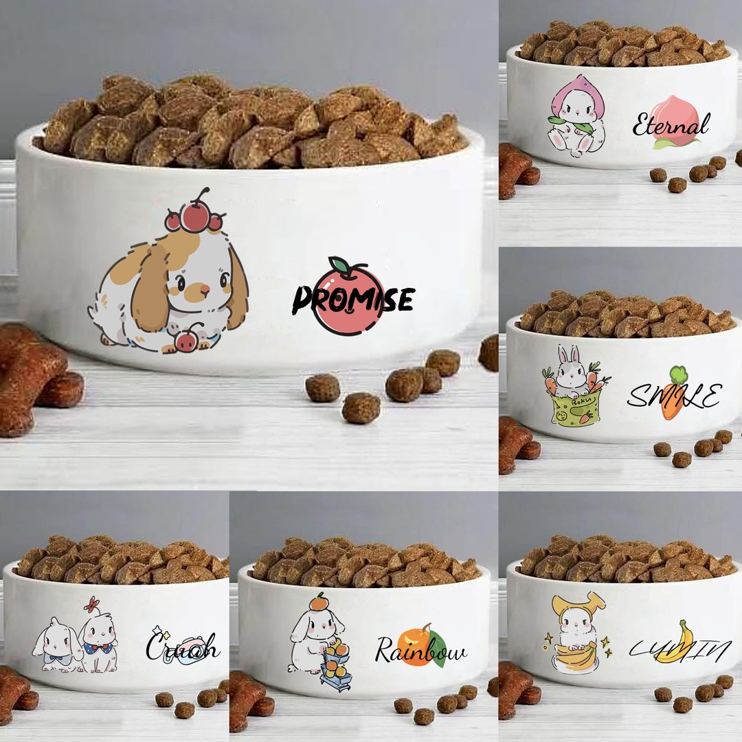 Custom Bunny Bowl, Personalized Rabbit Feeder, Rabbit Feed Dish for ...