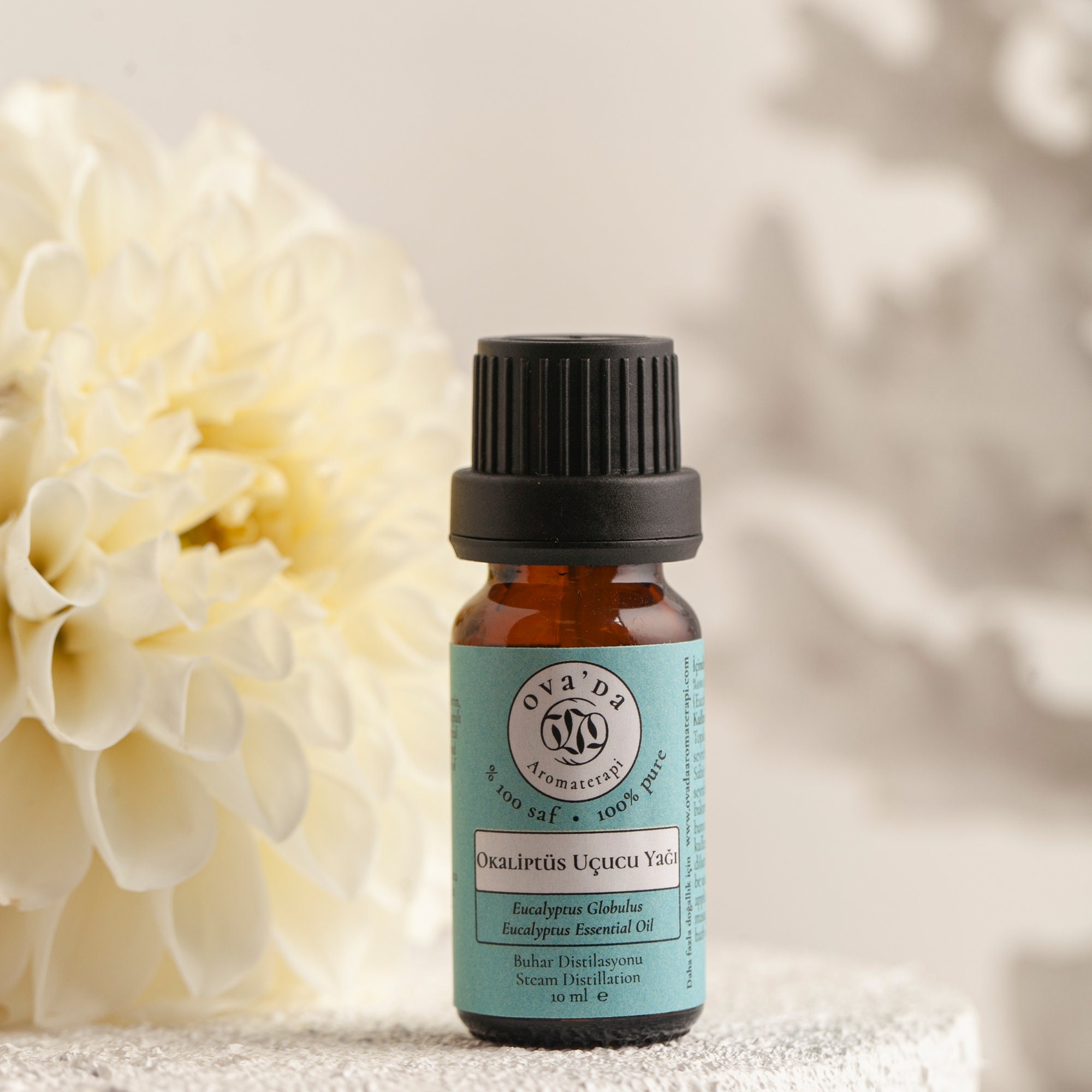 3x10 Ml Pure Essential Oils, Set of 3 Essential Oils Set, Pick Your Own ...