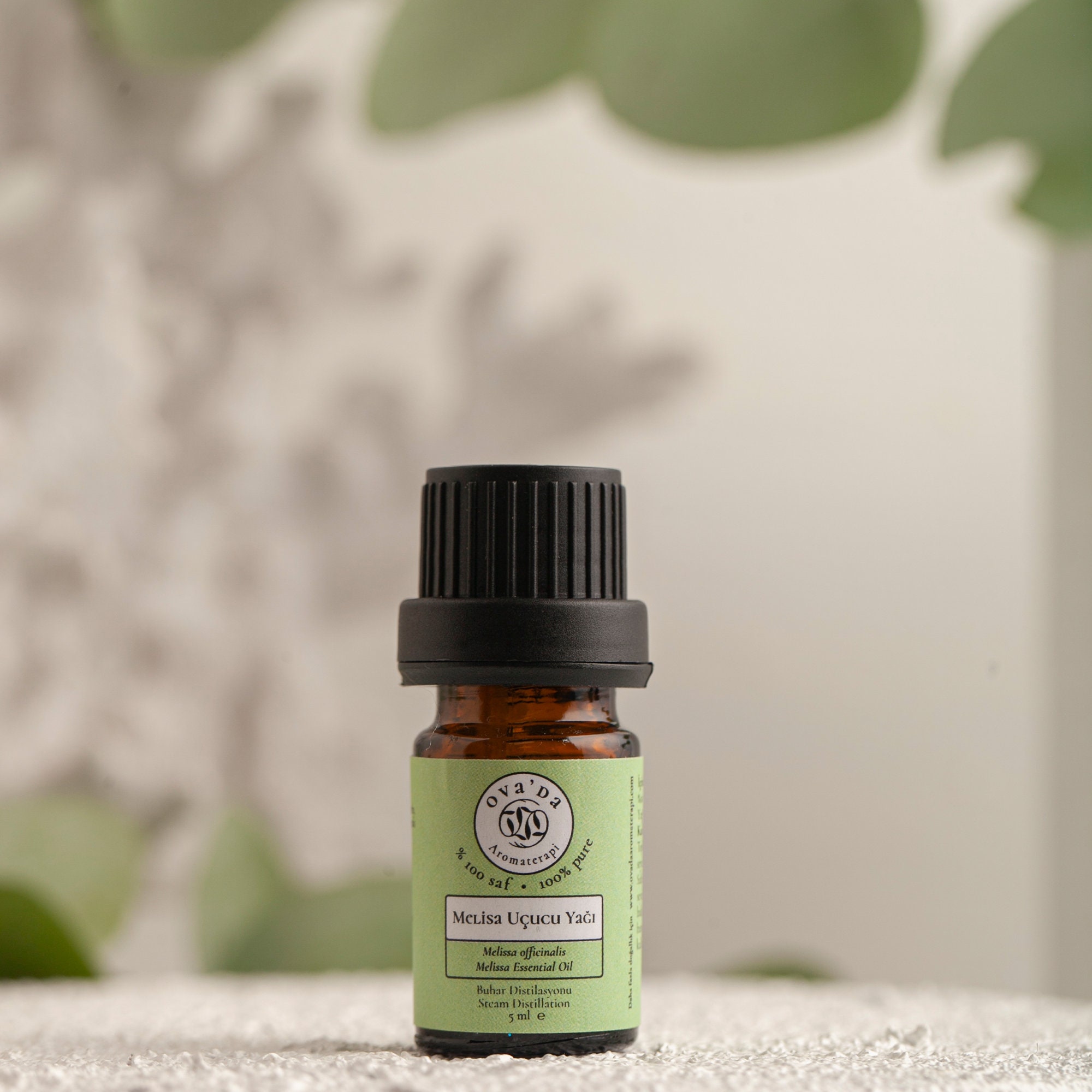 100% Pure Melissa Essential Oil, 5 Ml Pure Aromatherapy Oil, Self Care ...