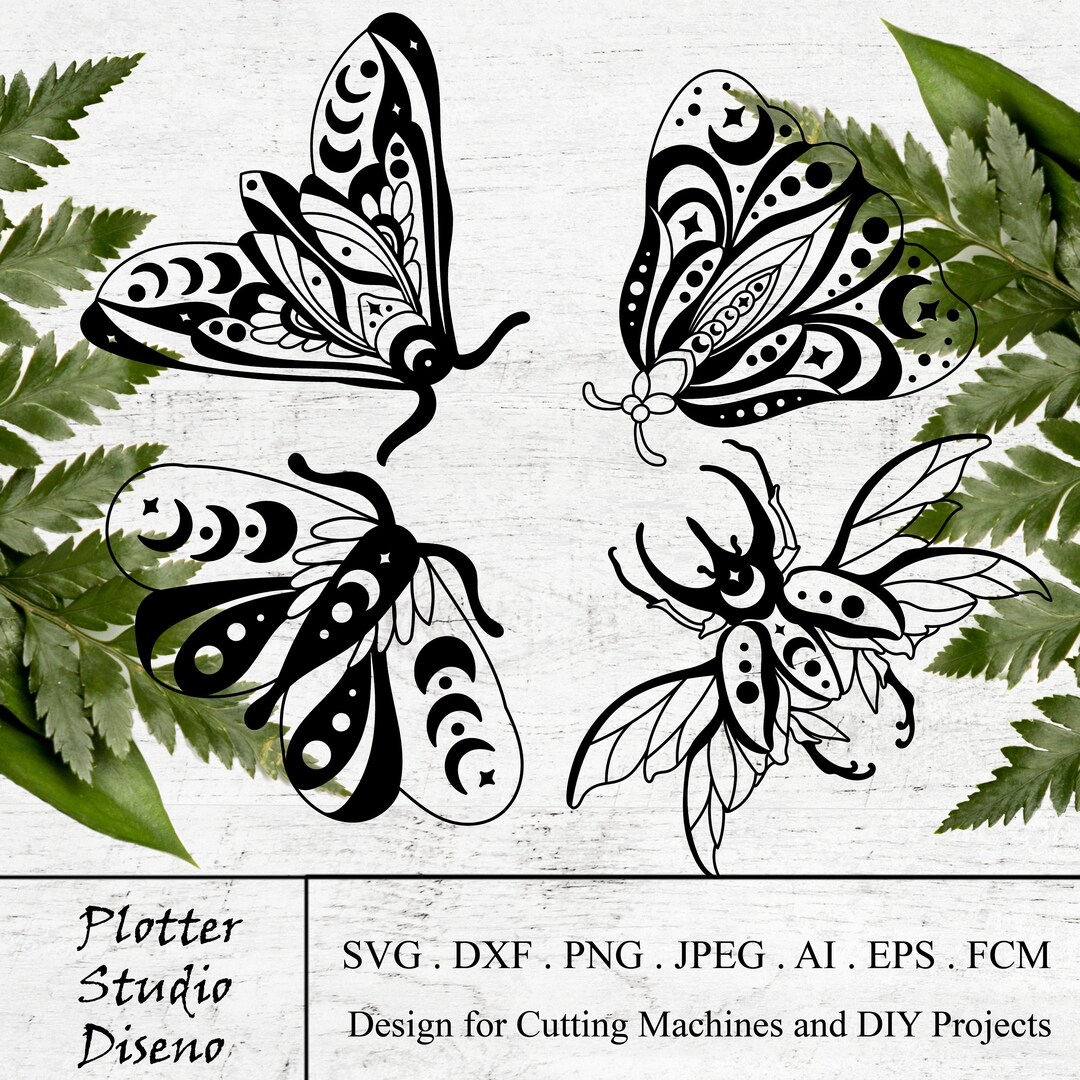 Celestial Bug SVG, Celestial Beetle Svg, Witchcraft Svg, Mystical Moth ...