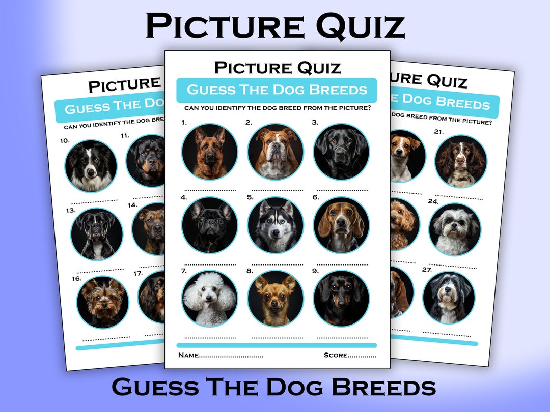 Printable Guess the Dog Breeds Quiz With Answers Canine Trivia Game ...