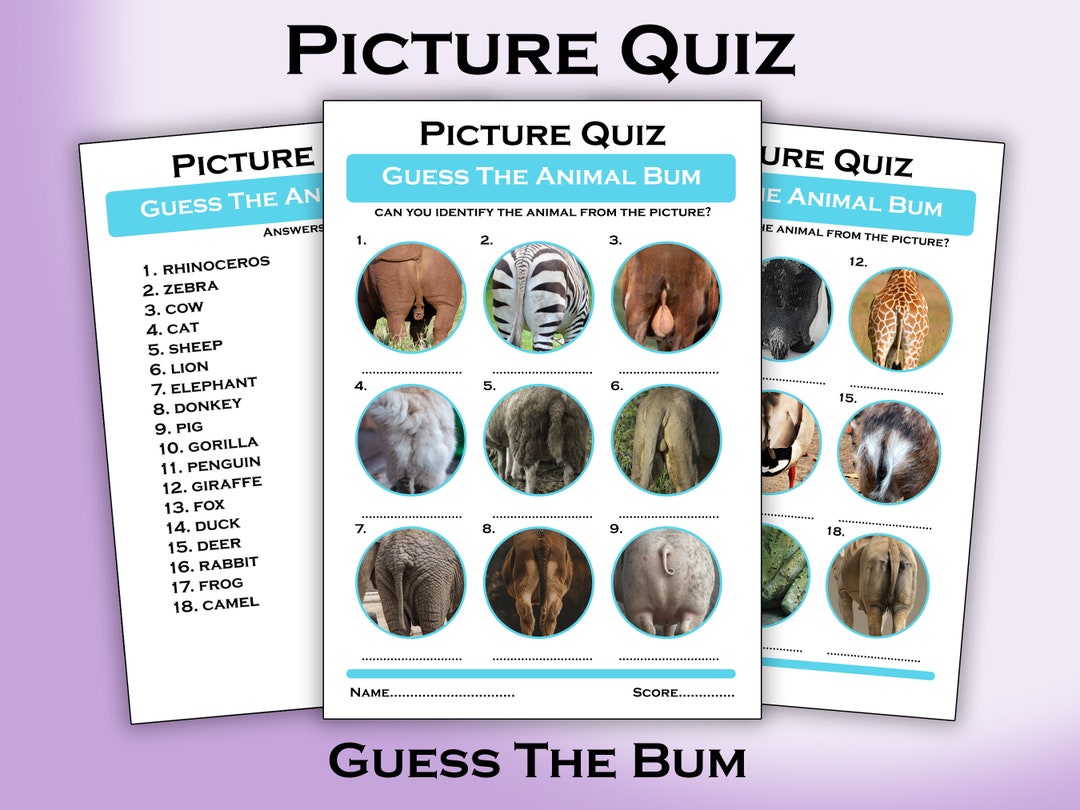 Printable Guess the Animal Bum Quiz With Answers Instant Download - Etsy UK