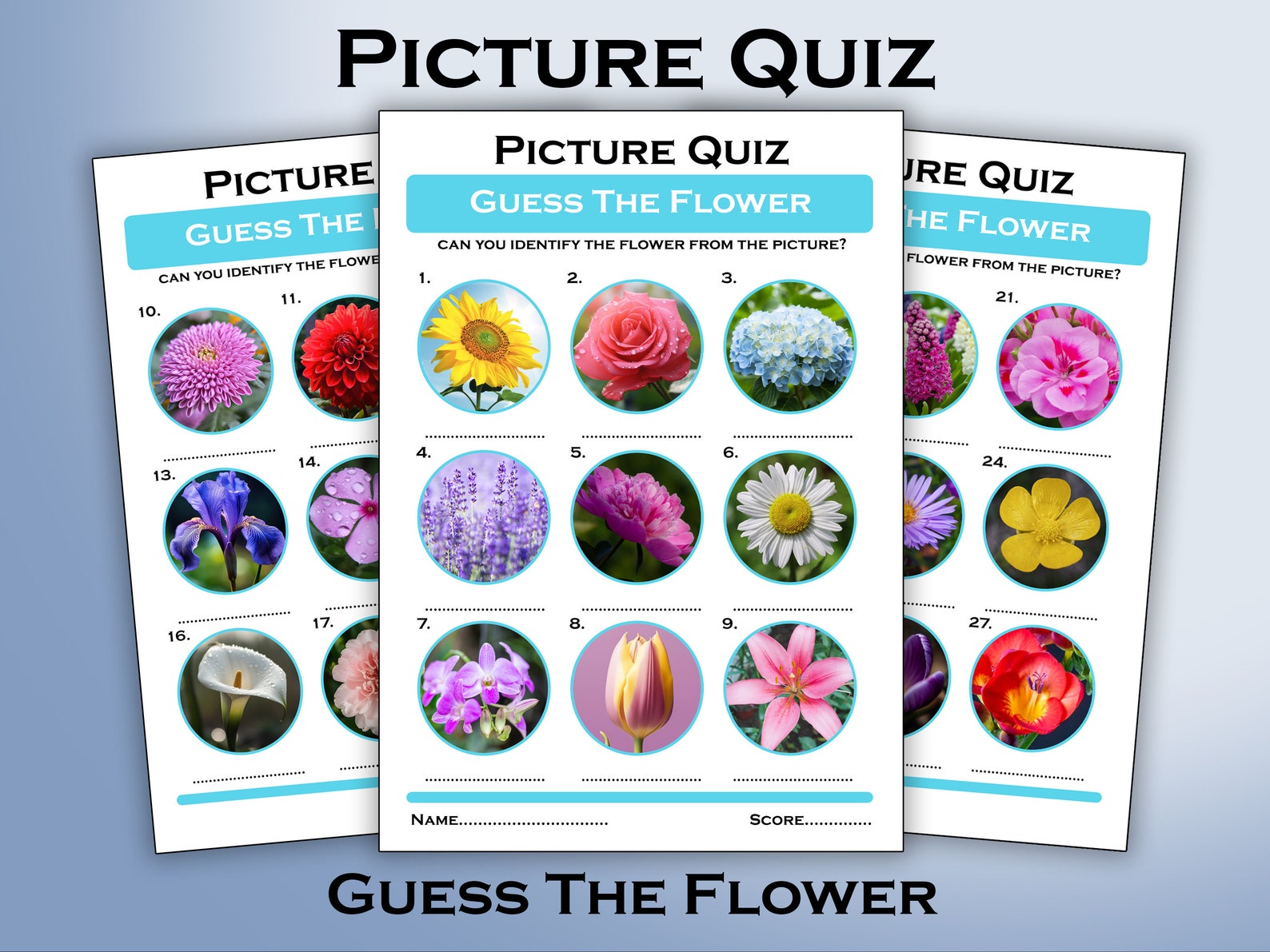 Printable Guess the Flower Quiz With Answers Botanical Trivia Game ...