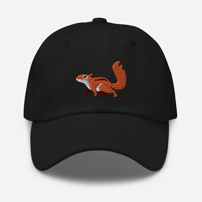 Cute Squirrel Chipmunk Dad Hat, Embroidered Hat, Handmade Adjustable 6 ...