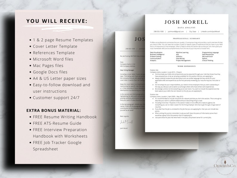 Data Analyst Resume Template Google Docs Data Scientist ATS Friendly CV ...