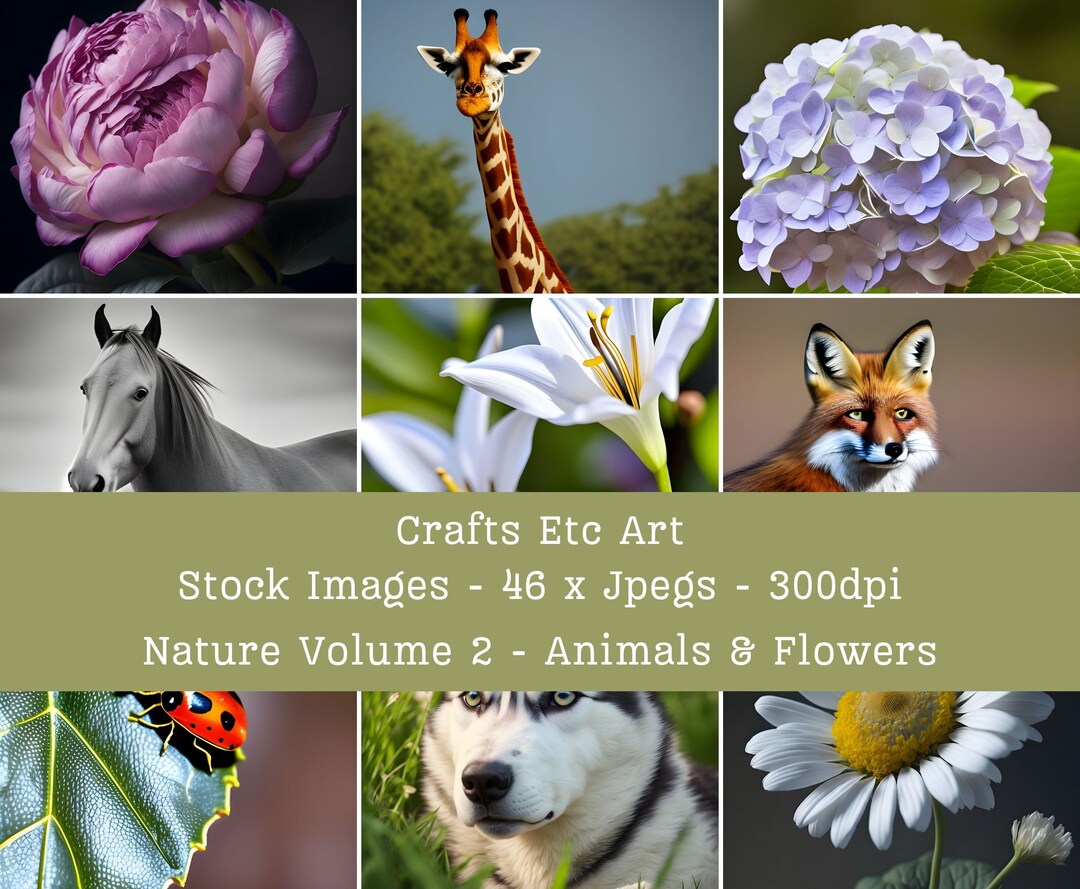 Nature Volume 2 - 46 X Photographic Style Images - Nature Stock Image ...