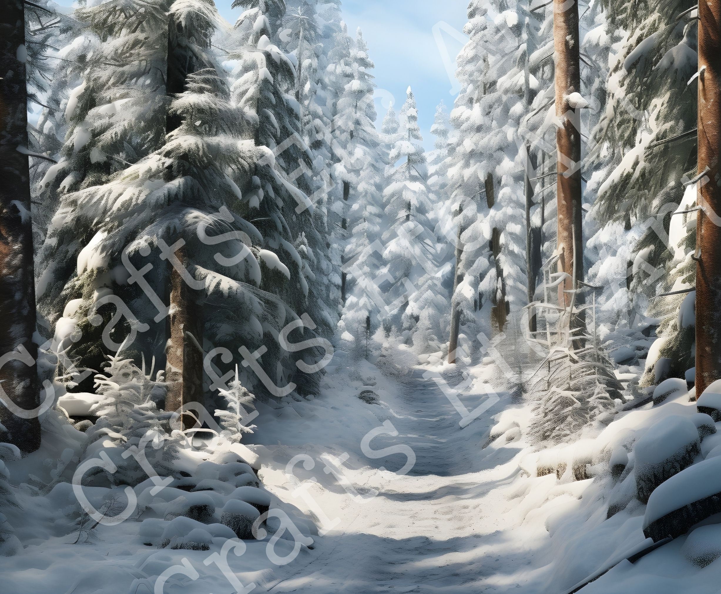 Snowy Forest Backgrounds Digital Backgrounds Forest Path Snowy Trees ...