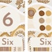 Letters, Auslan Signs, Numbers, Colours and Shapes Flashcards - Etsy