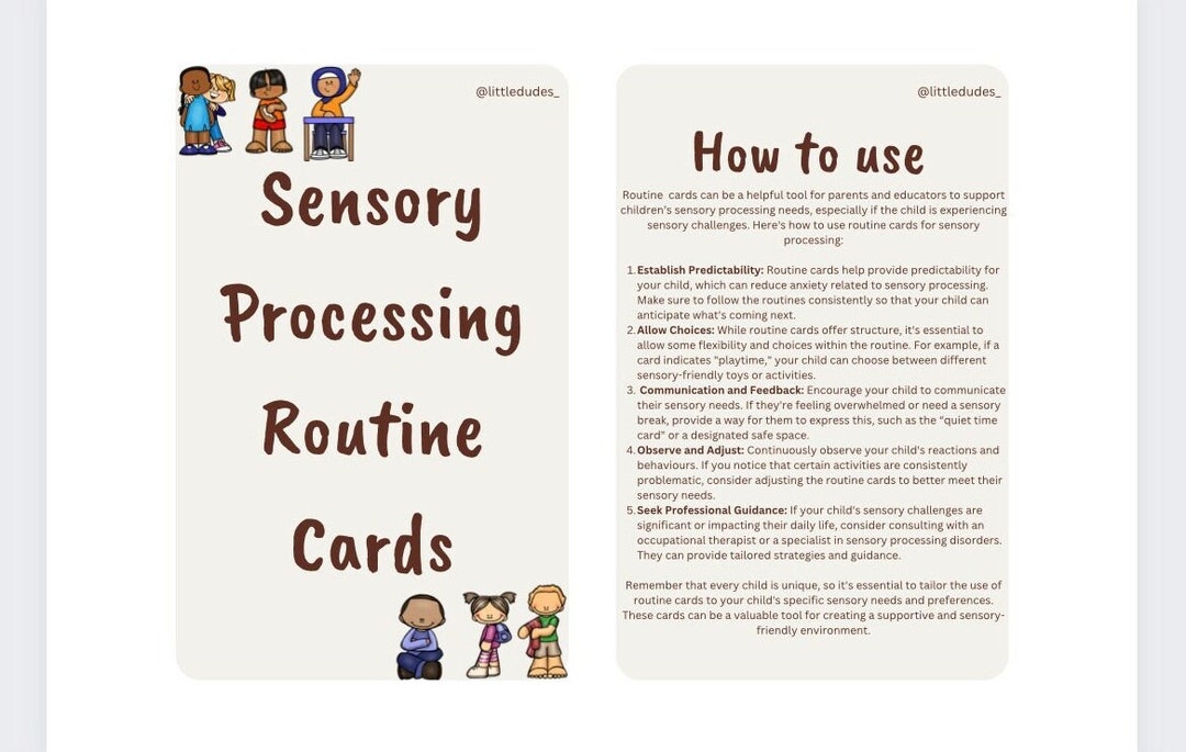 Sensory Processing Routine Cards - Etsy