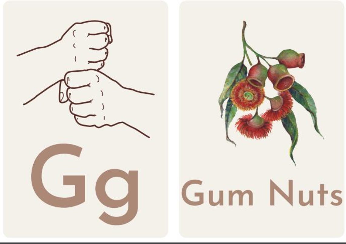 Letters, Auslan Signs, Numbers, Colours and Shapes Flashcards - Etsy