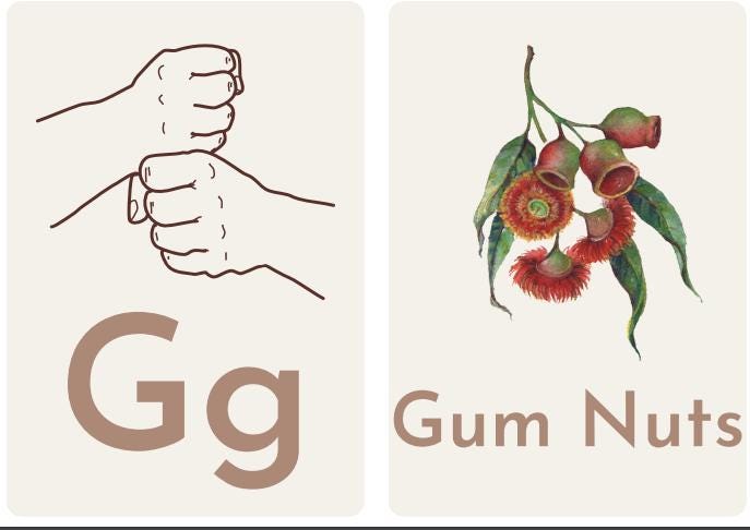 Letters, Auslan Signs, Numbers, Colours and Shapes Flashcards - Etsy