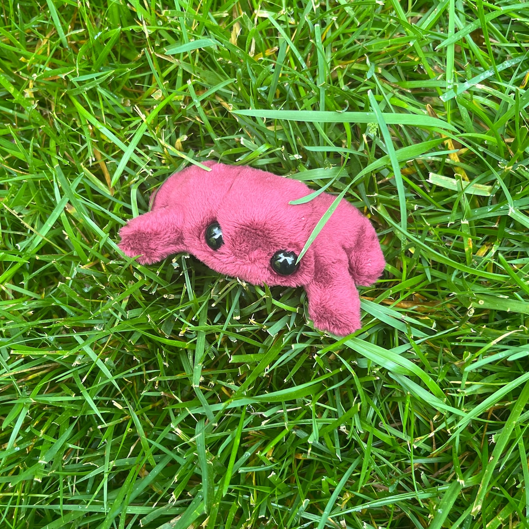 This item is unavailable - Etsy