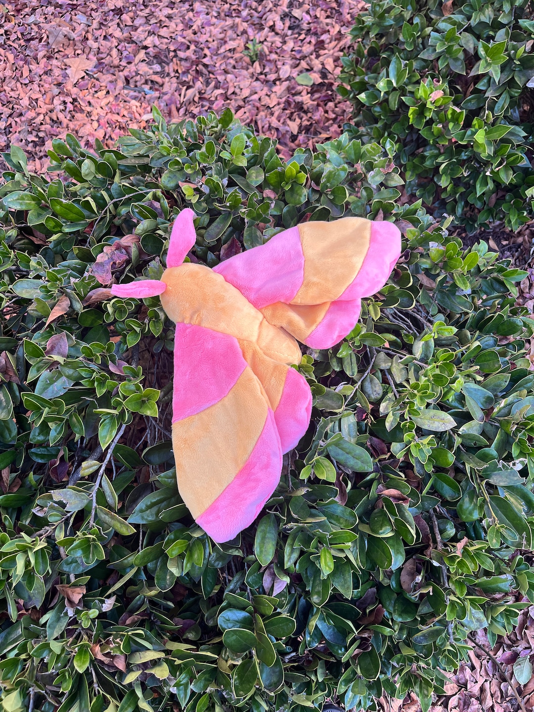 Rosy Maple Moth Plush - Etsy