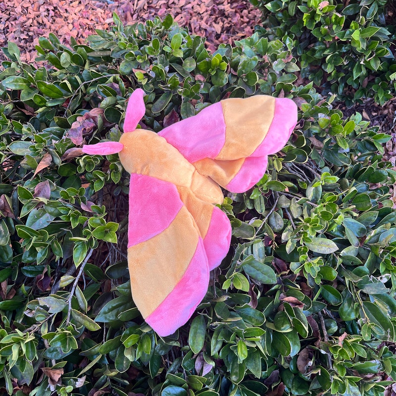 Moth Plush - Etsy