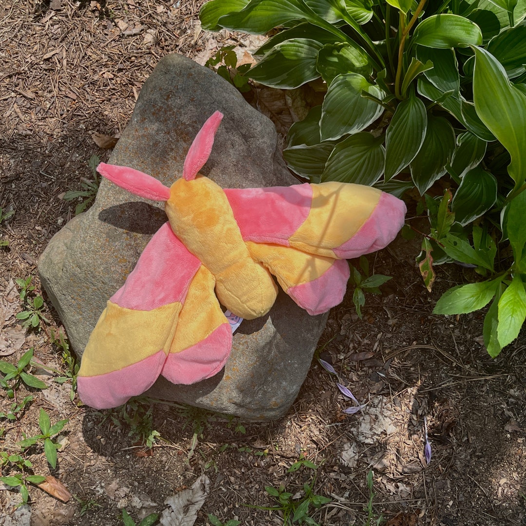 Rosy Maple Moth Plush - Etsy