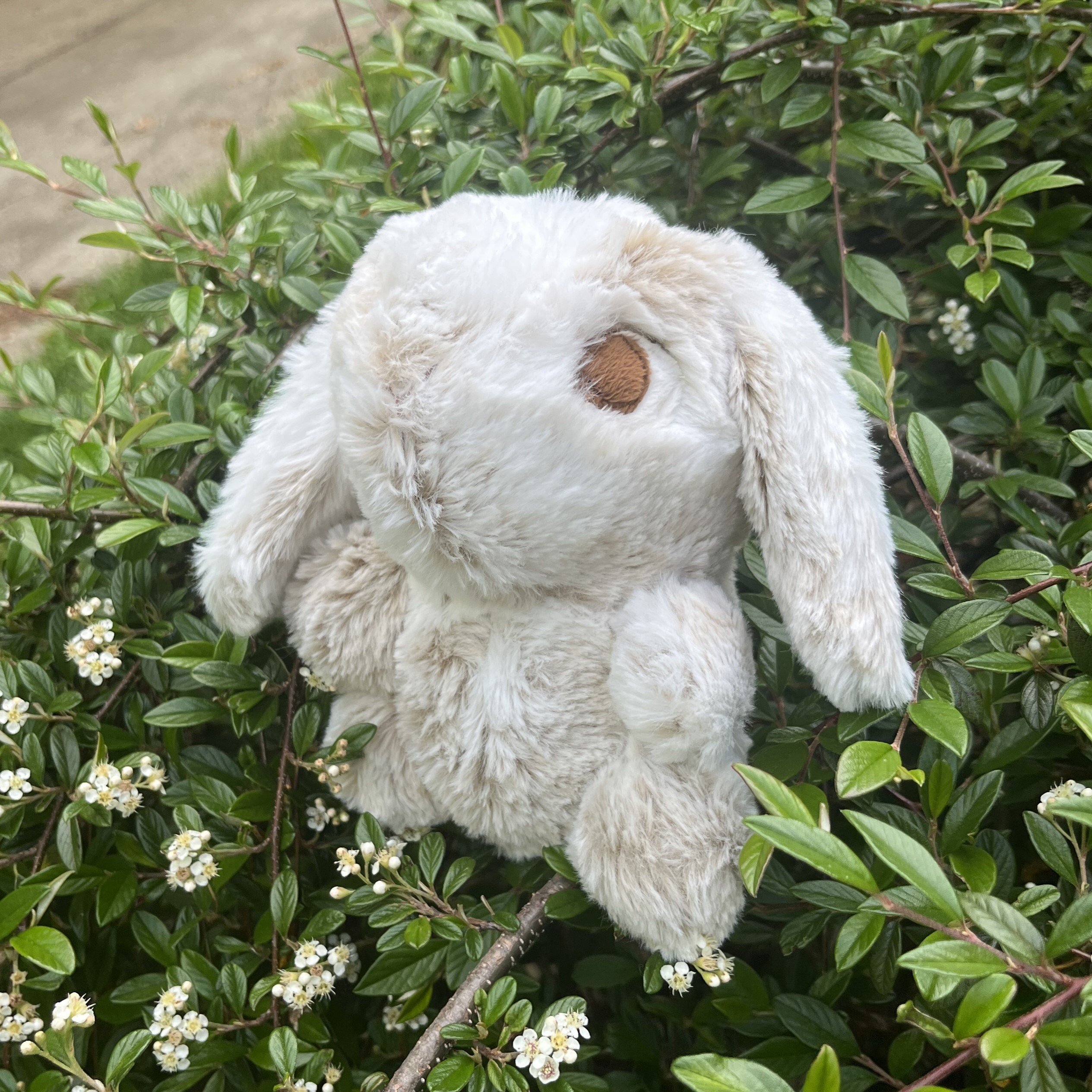 Fully Custom Sewn Plush - Etsy