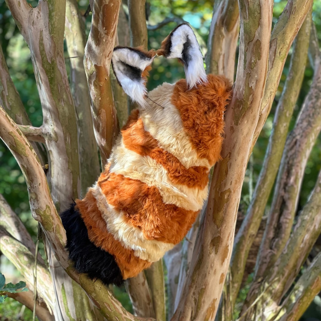 Red Panda Tail and Ears Set - Etsy