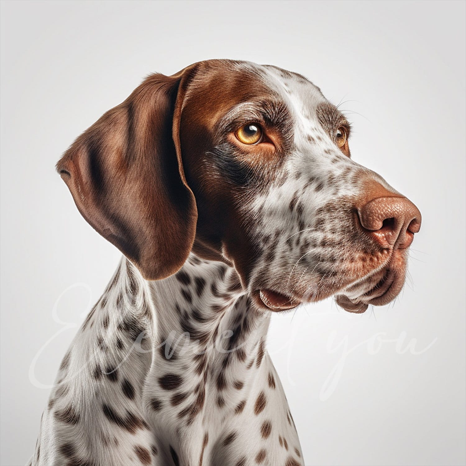 Dog Pointer Clipart