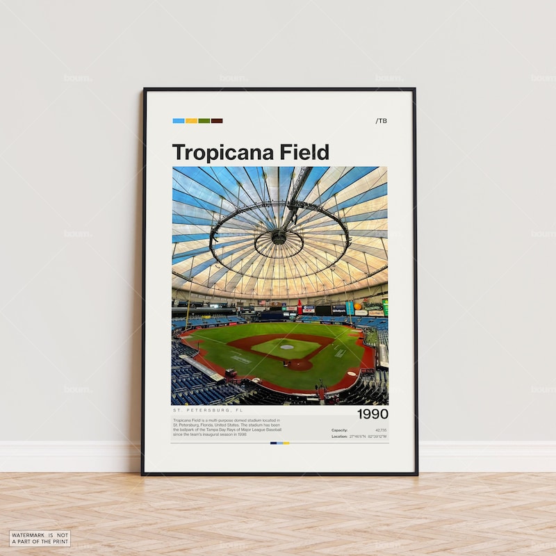 Tampa Bay Rays - Etsy