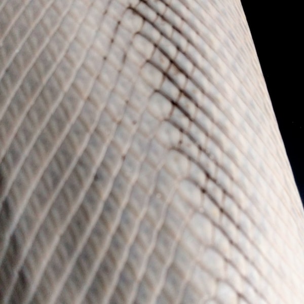 Gar Fish Scales - Etsy