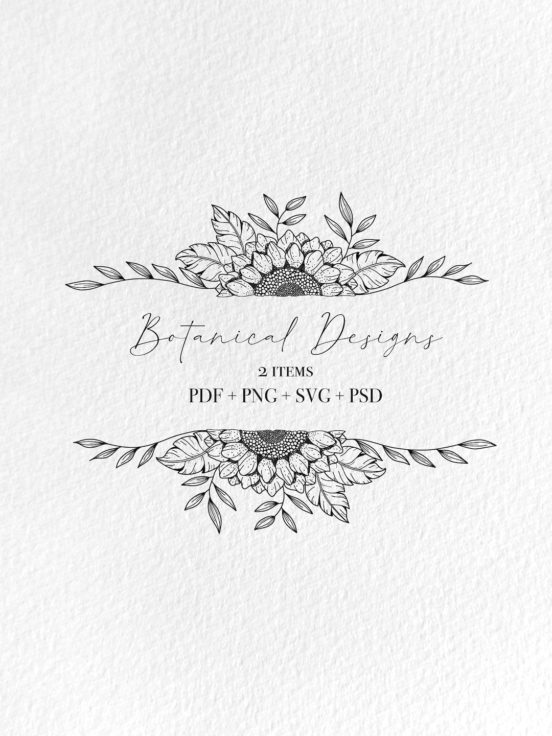 Floral Divider Svg Transparent Background Botanical Border Svg Text ...