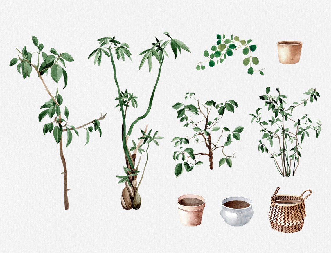 House Plants Watercolor Clipart Potted Plant Watercolor - Etsy