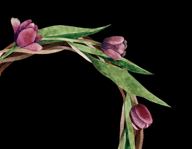 Tulip Watercolor Clipart, Tulip Clipart, Tulip Png Files, Spring ...