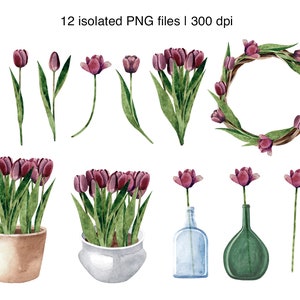 Tulip Watercolor Clipart, Tulip Clipart, Tulip Png Files, Spring ...