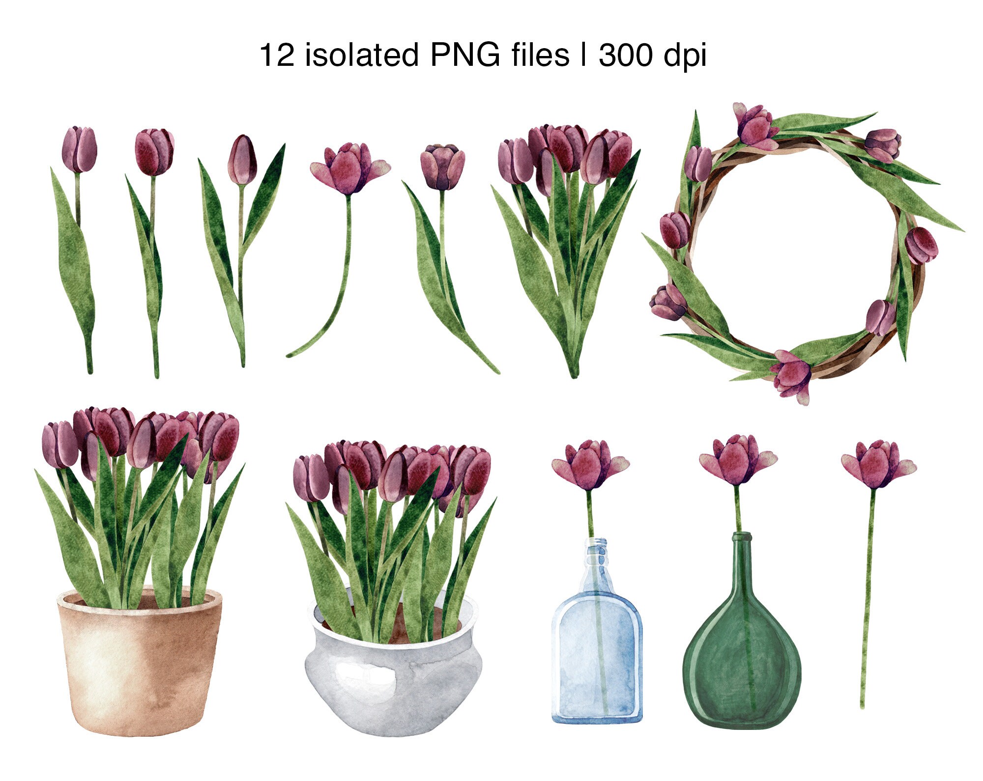 Tulip Watercolor Clipart, Tulip Clipart, Tulip Png Files, Spring ...