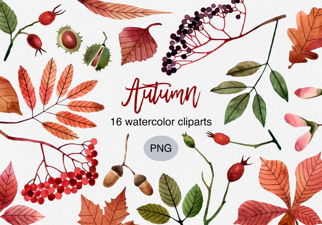 Autumn Watercolor Clipart, Autumn Clipart Set, Fall Watercolor Png ...