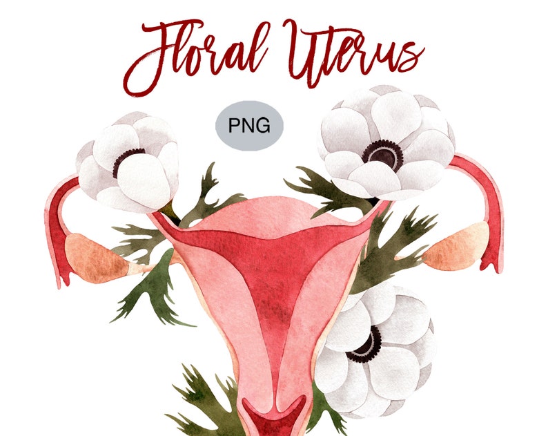Floral Uterus Watercolor Clipart, Anatomy Clipart, Uterus Art, Female ...