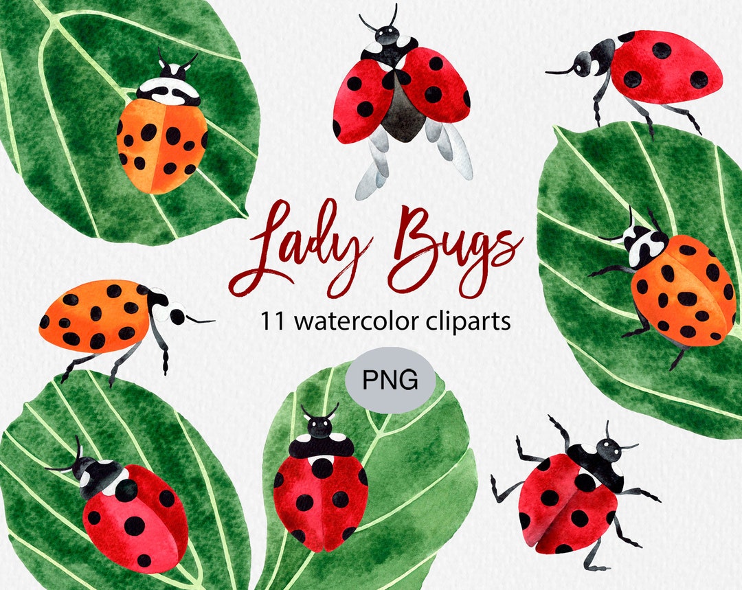 Ladybug Watercolor Clipart, Lady Bugs Watercolor Set, Ladybug Png ...