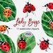Ladybug Watercolor Clipart, Lady Bugs Watercolor Set, Ladybug Png ...