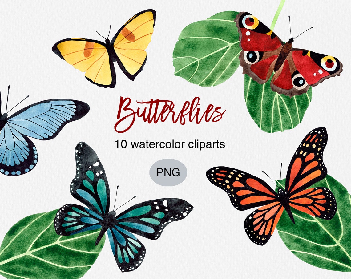 Butterfly Watercolor Clipart Butterfly Clip Art Butterflies - Etsy