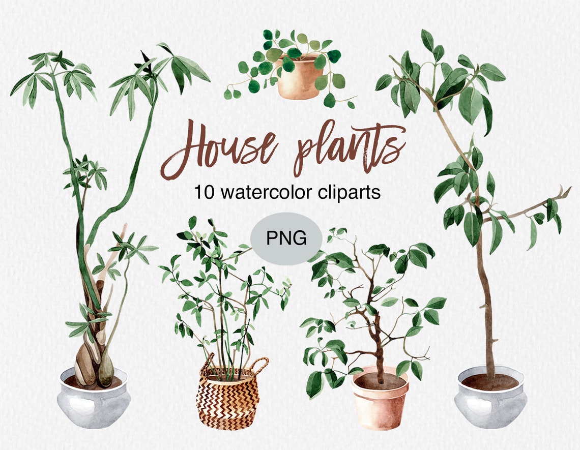 House Plants Watercolor Clipart, Potted Plant, Watercolor Plants ...