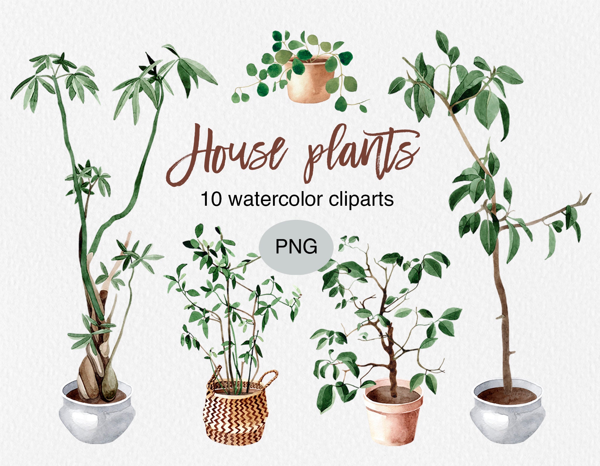 House Plants Watercolor Clipart, Potted Plant, Watercolor Plants ...