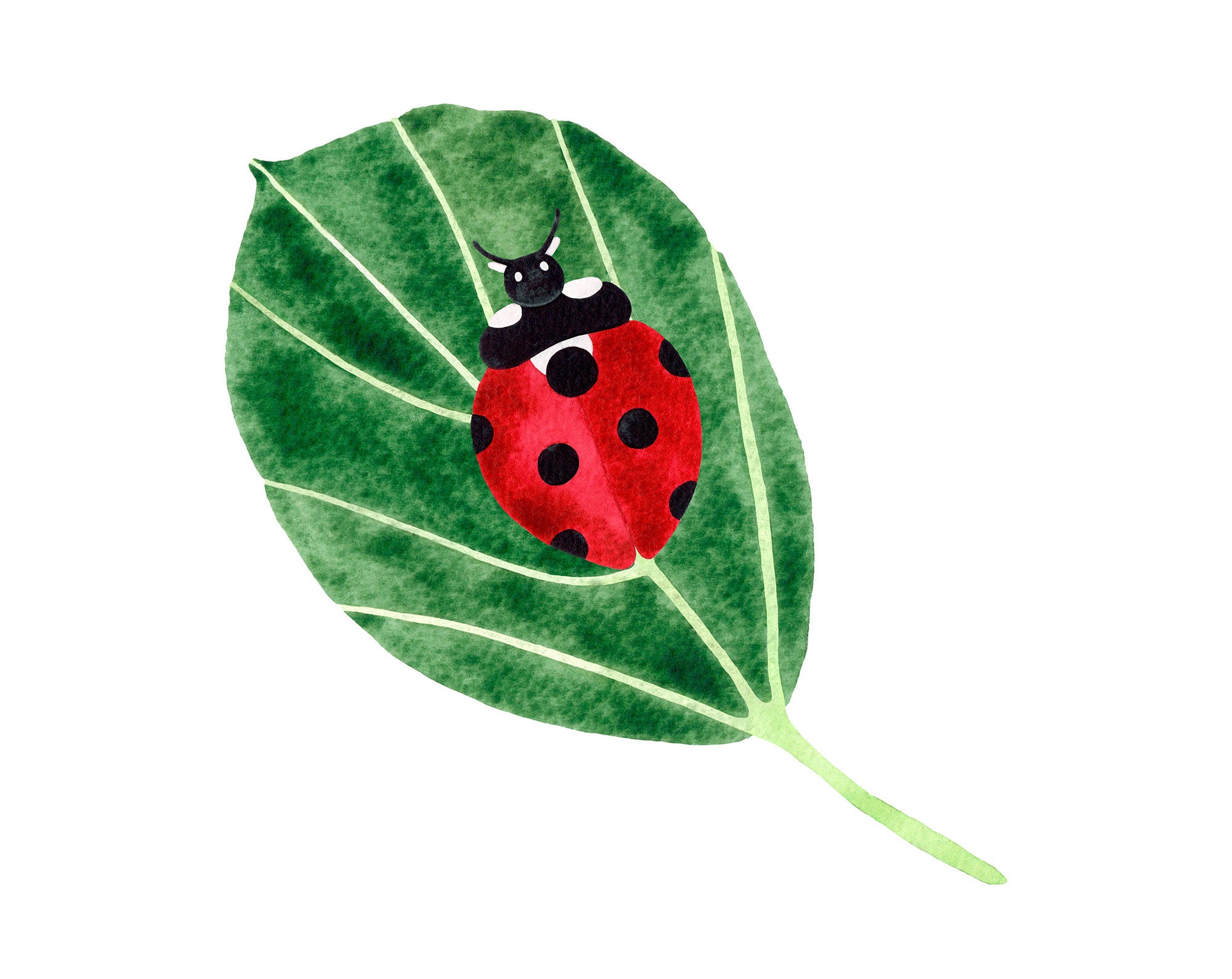 Ladybug Watercolor Clipart, Lady Bugs Watercolor Set, Ladybug Png ...