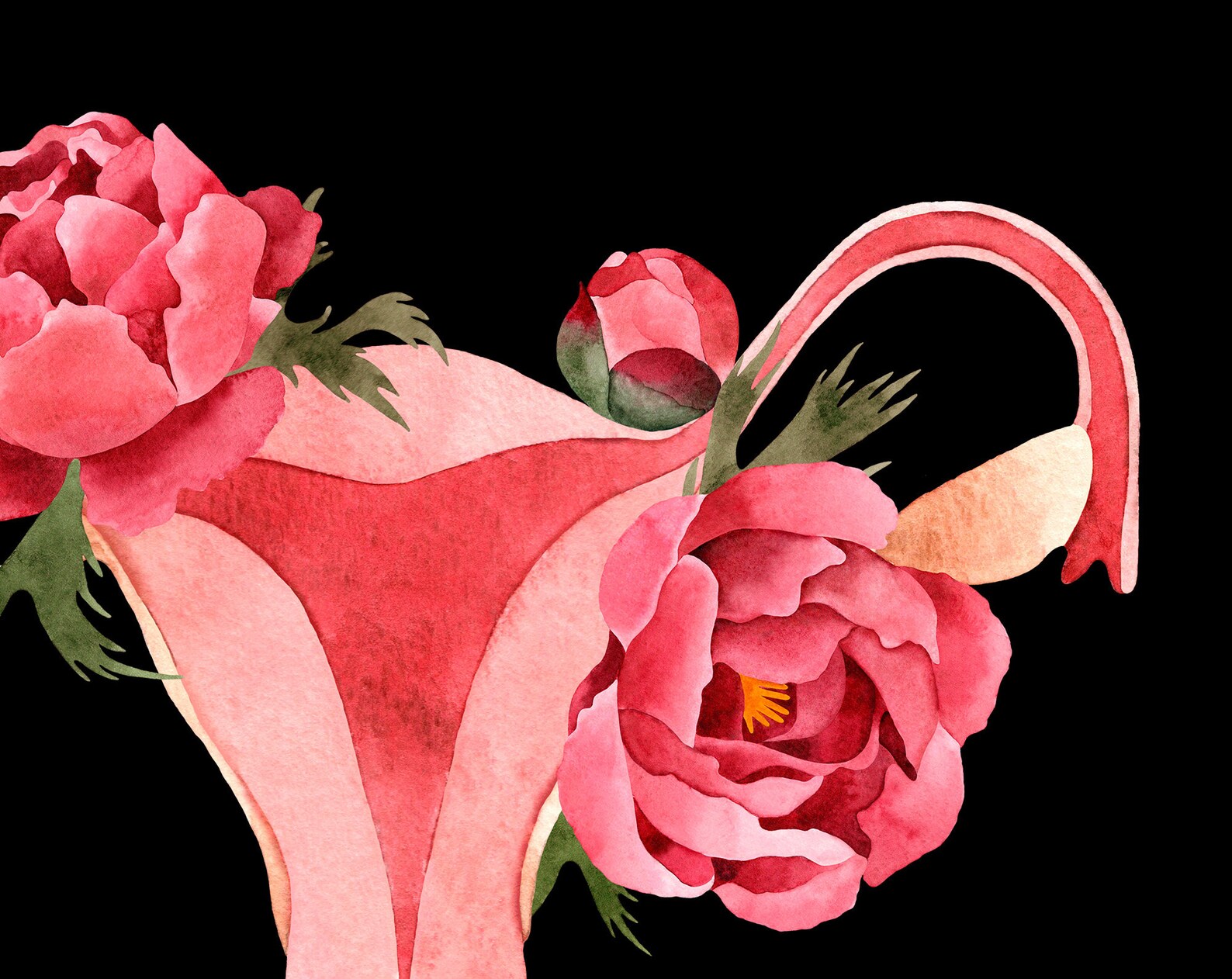 Floral Uterus Watercolor Clipart Anatomy Clipart Uterus Art - Etsy