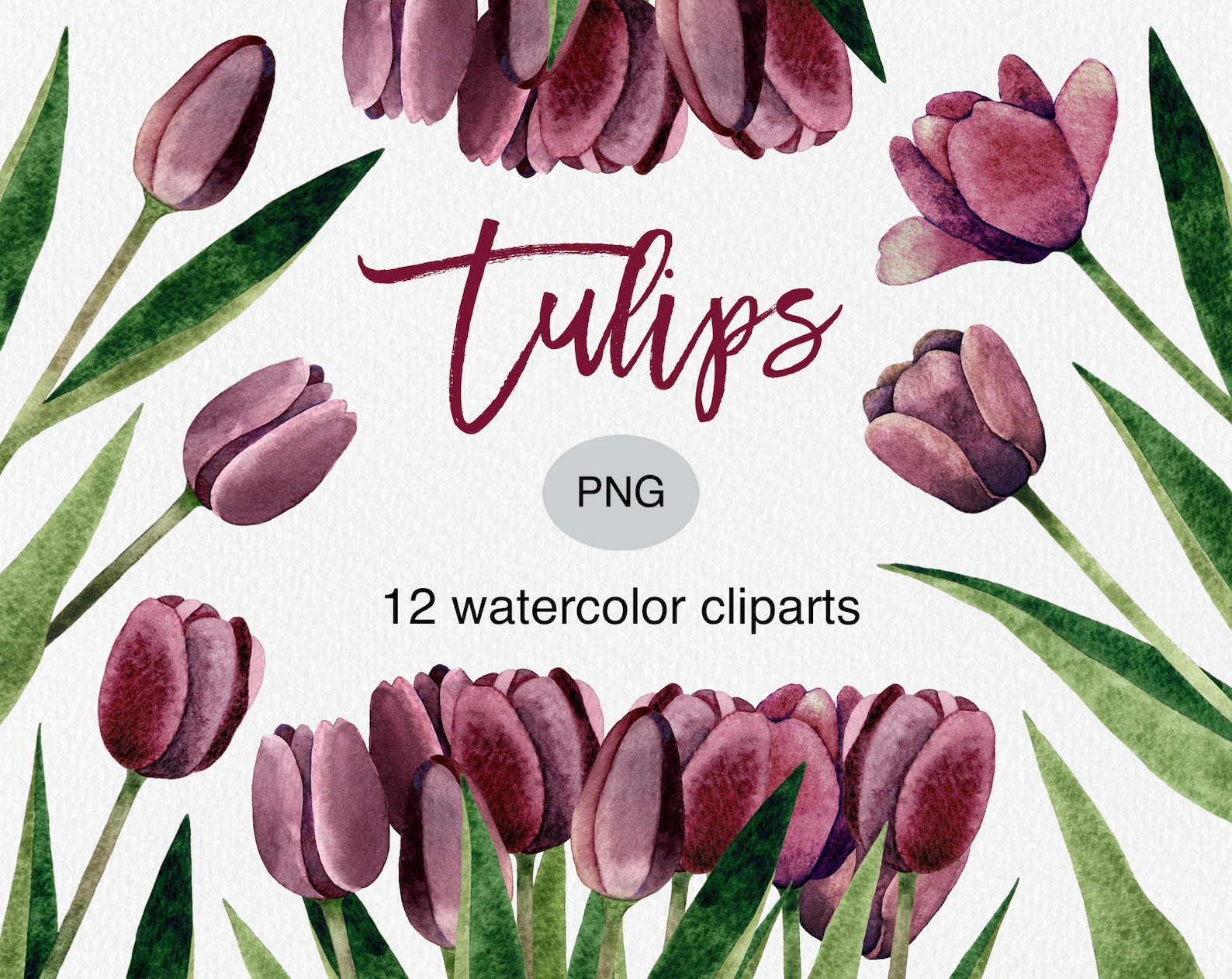 Tulip Watercolor Clipart, Tulip Clipart, Tulip Png Files, Spring ...