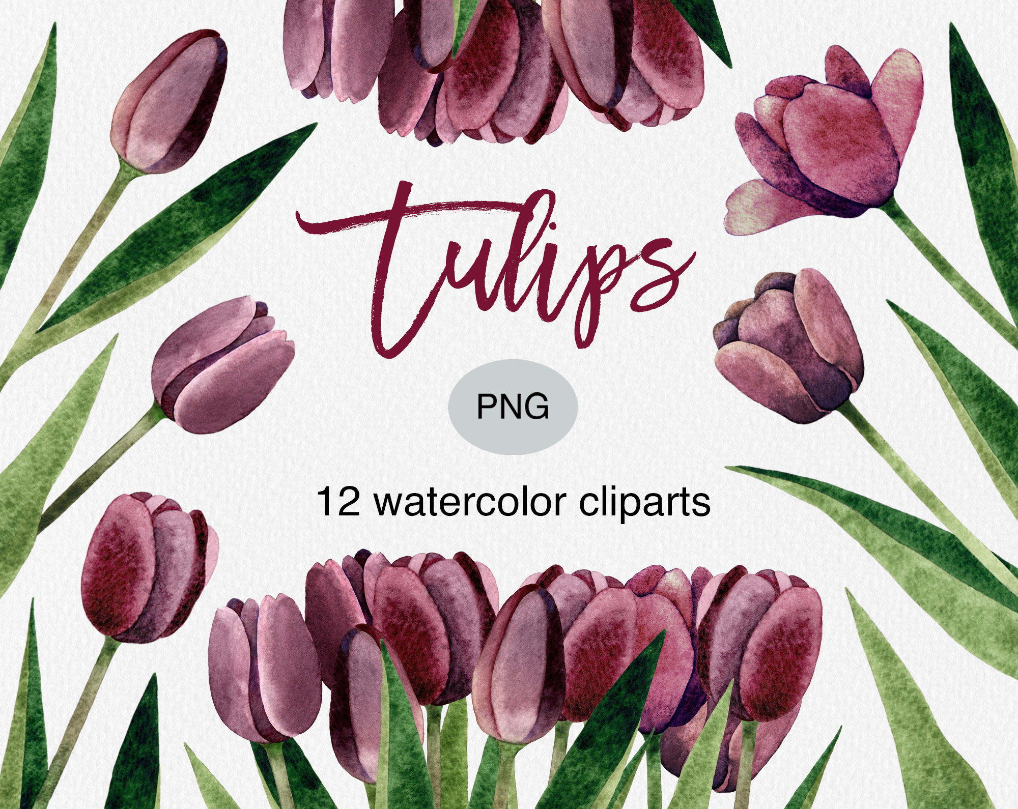 Tulip Watercolor Clipart, Tulip Clipart, Tulip Png Files, Spring ...