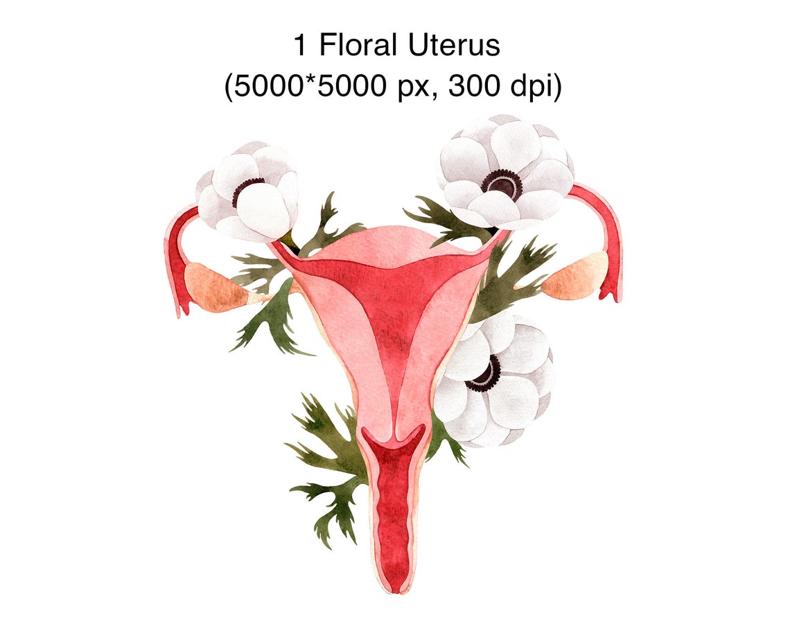 Floral Uterus Watercolor Clipart, Anatomy Clipart, Uterus Art, Female ...