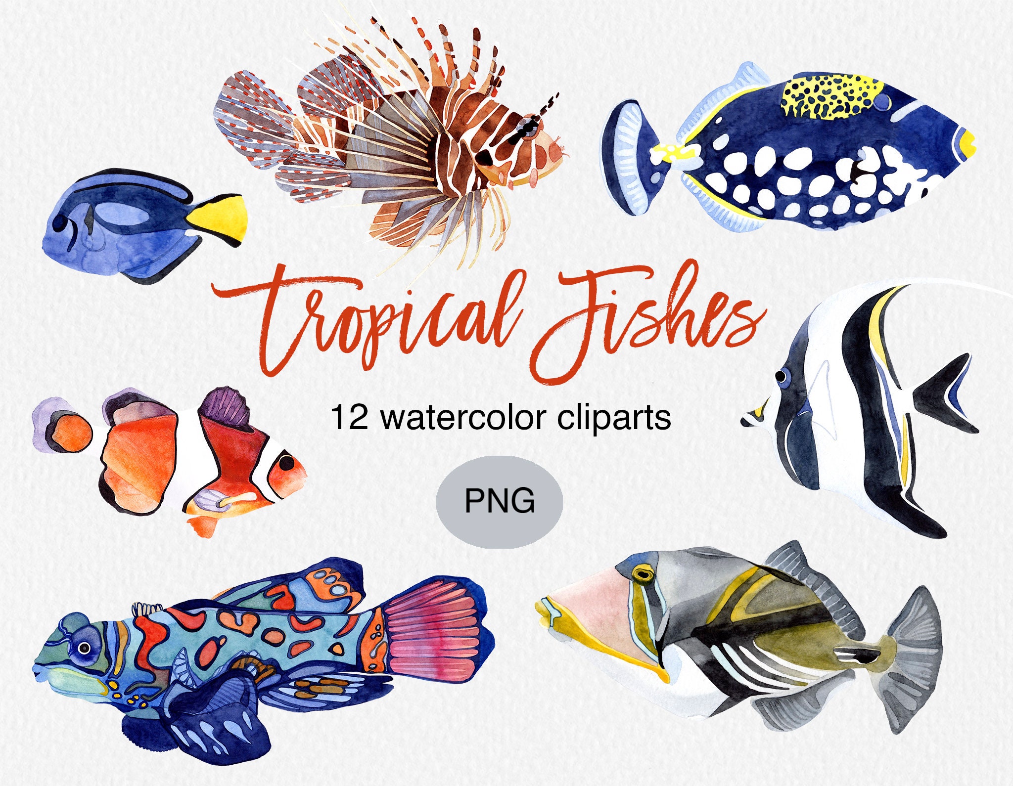Watercolor Fish, Tropical Fish Png Download, Watercolor Clipart, Fish ...