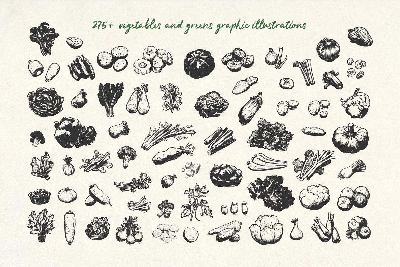 Hand-drawn Vegetable SVG PNG Bundle Illustrations, Veggie Doodles, Hand ...