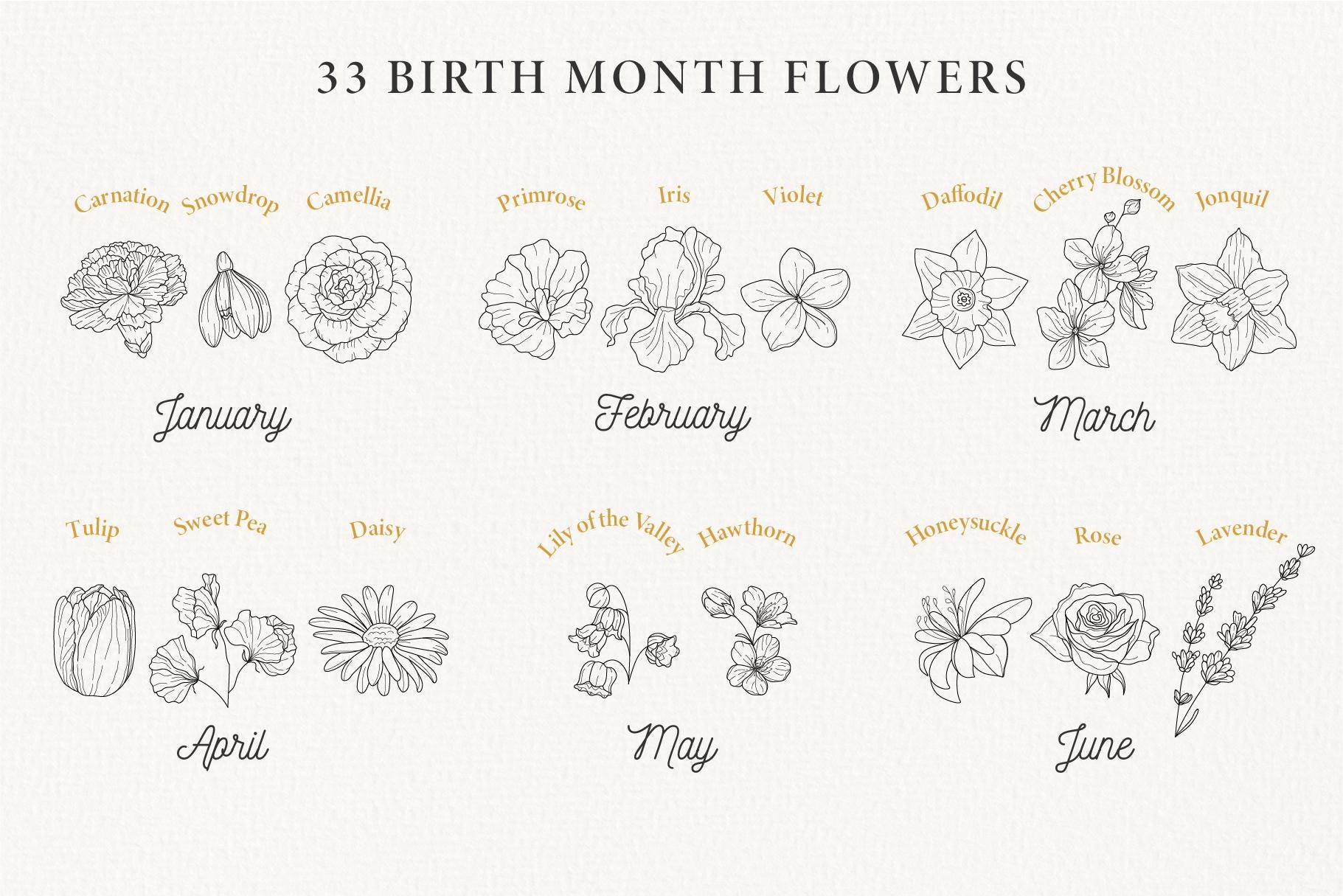 Birth Month Svg Bundle, Custom Birth Flower, Flower Svg, Birth Month ...